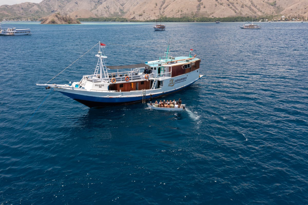 Golden Island Cruises | Exploring the Oceans: The Wonders of Boat ...
