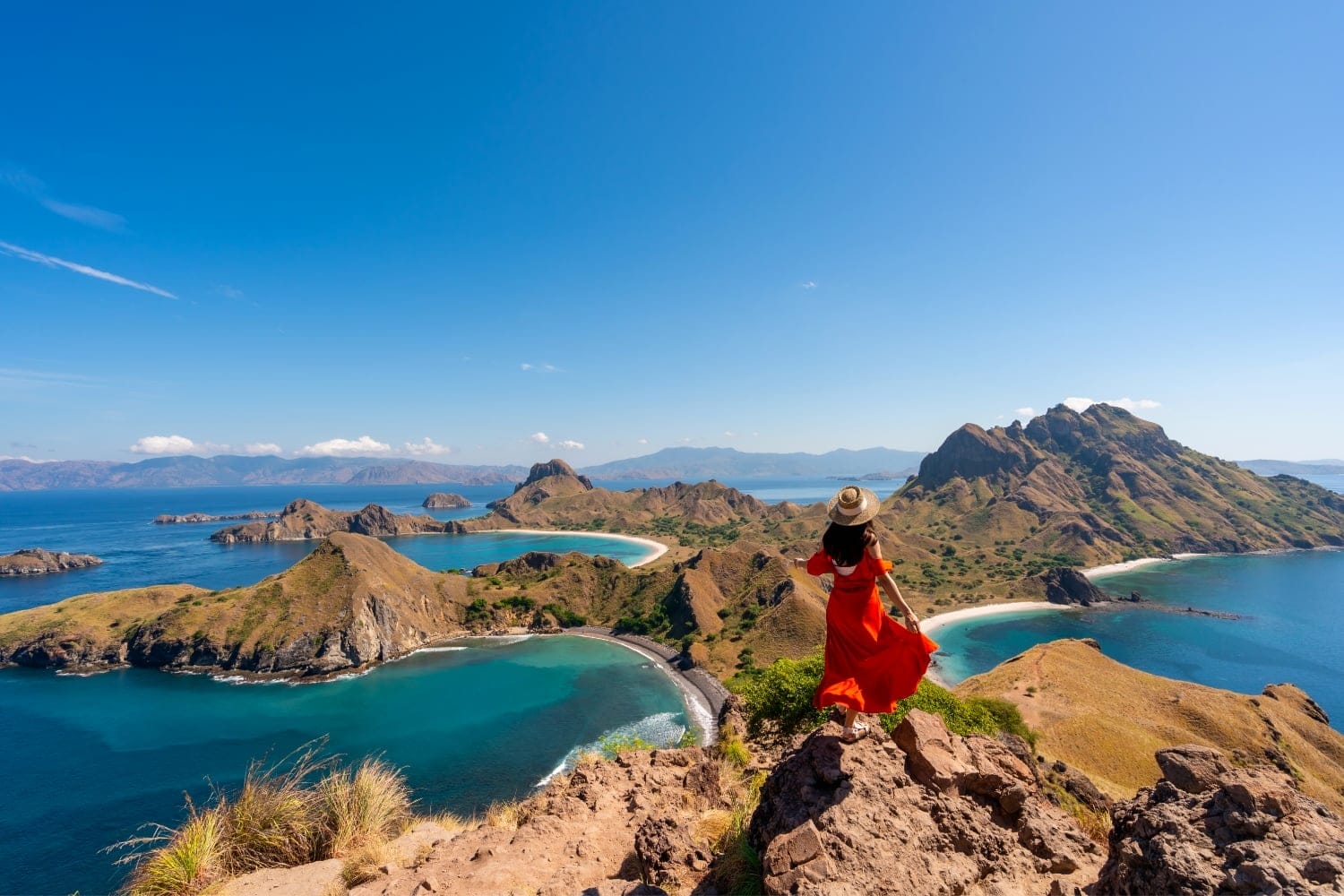 Best Deal Komodo Island Tour From Lombok and Labuan Bajo 2026